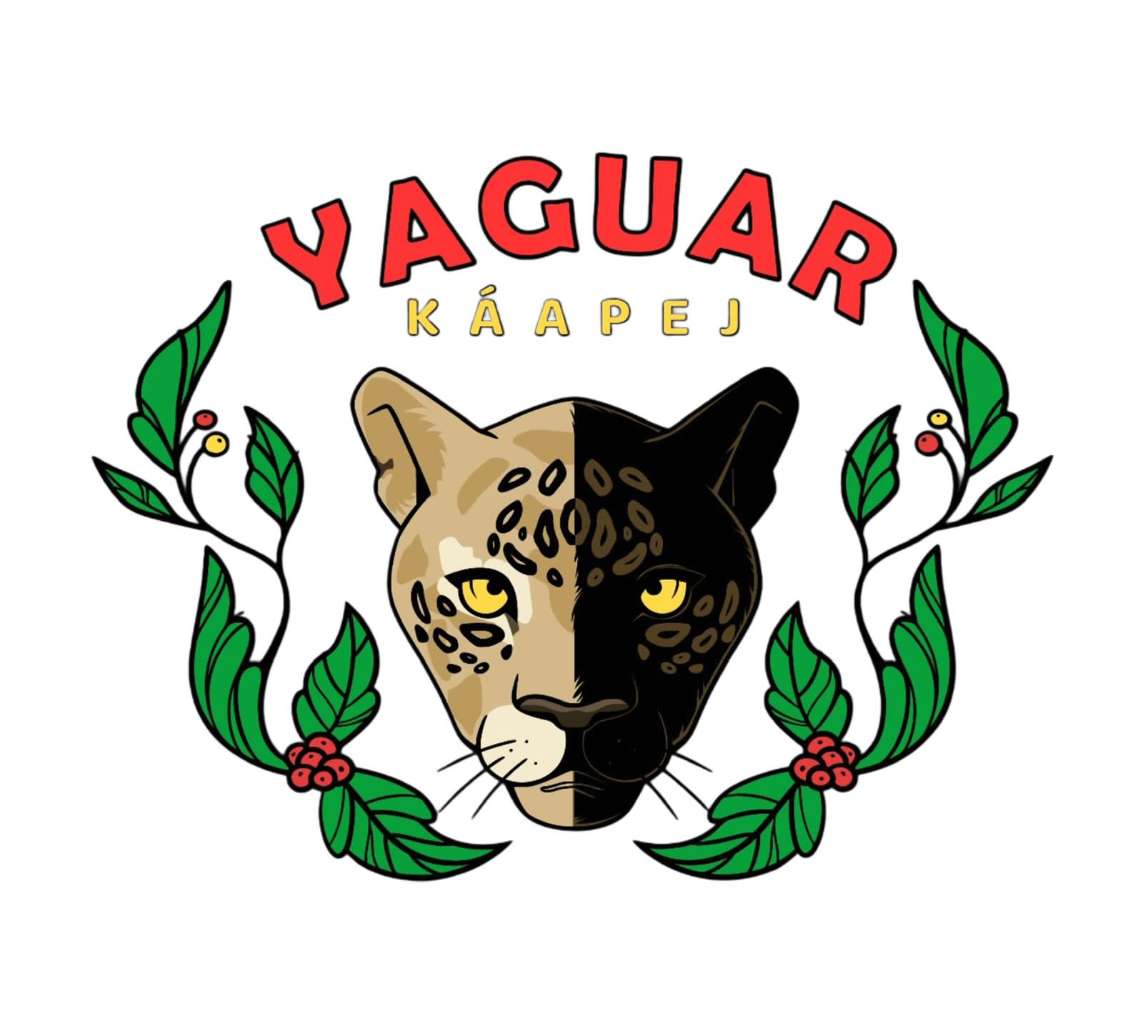 Multimedios Informativos